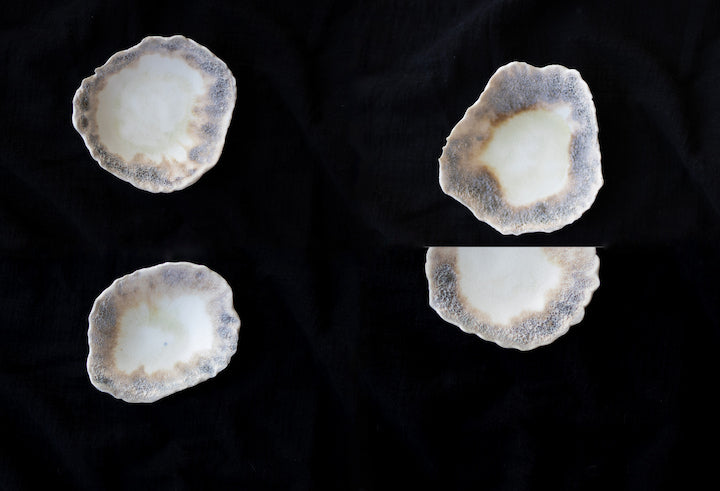 Cosmic shells – Mesh & Cloth